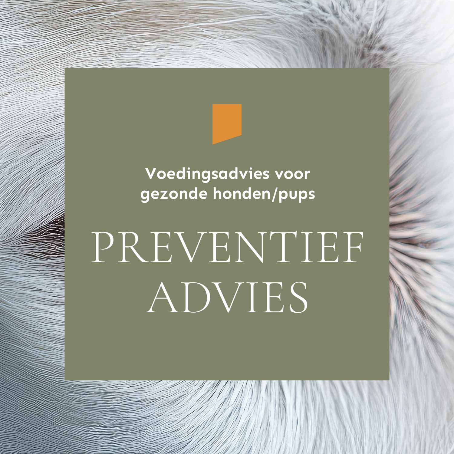 Preventief Voedingsadvies | Soluun